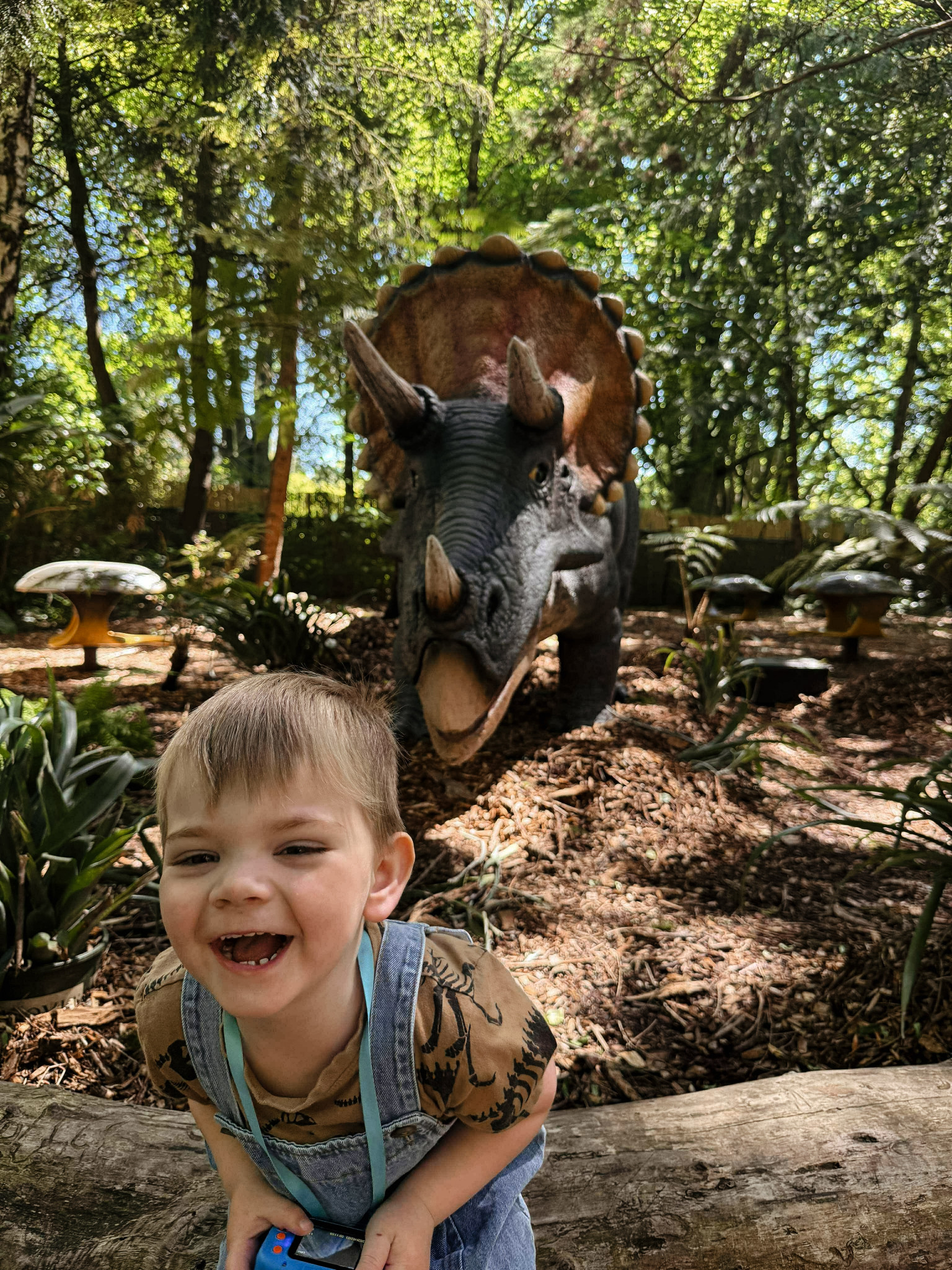 Ethan Saunders | Toddler of the Year