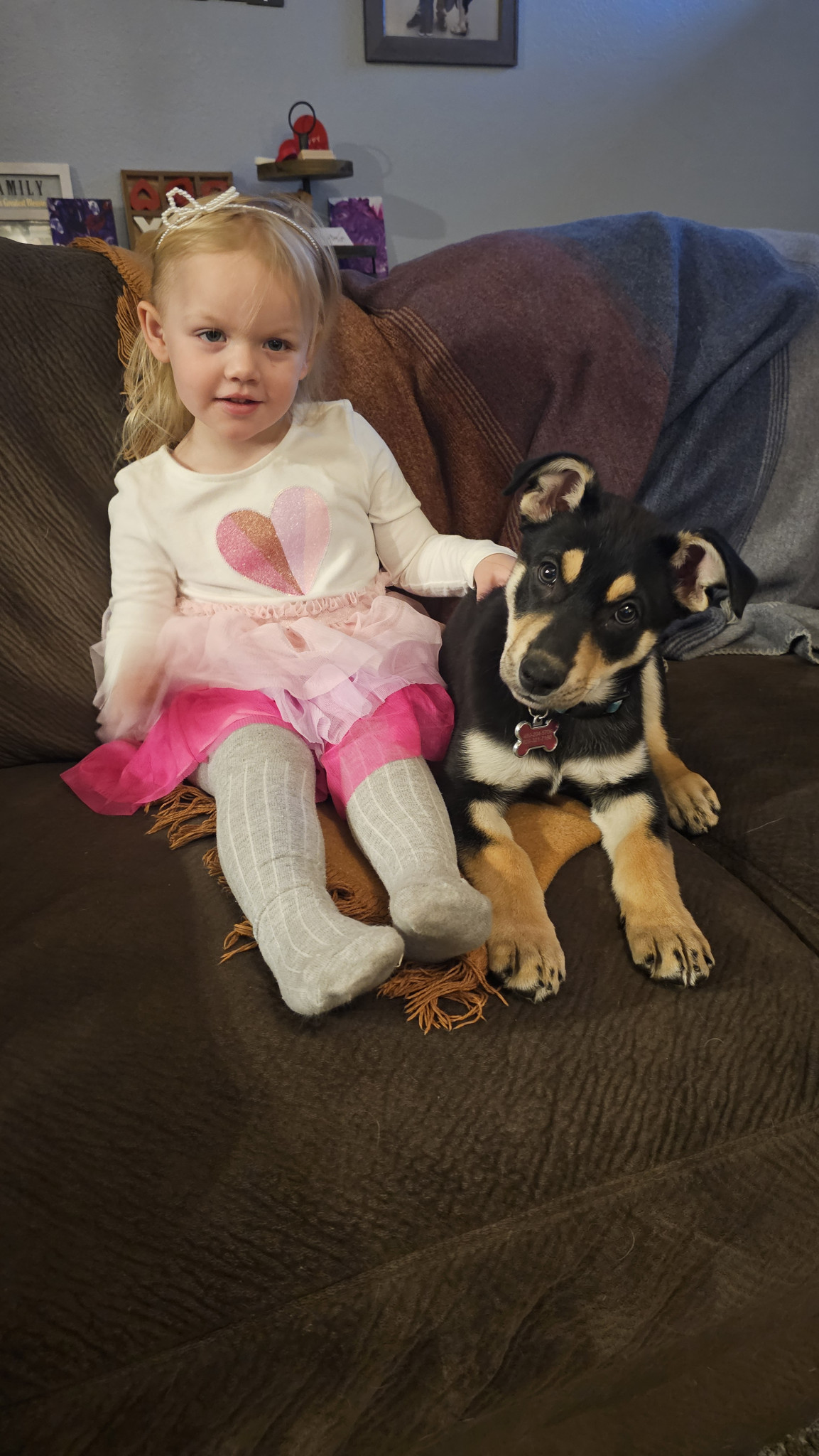 Hailey | Toddler of the Year