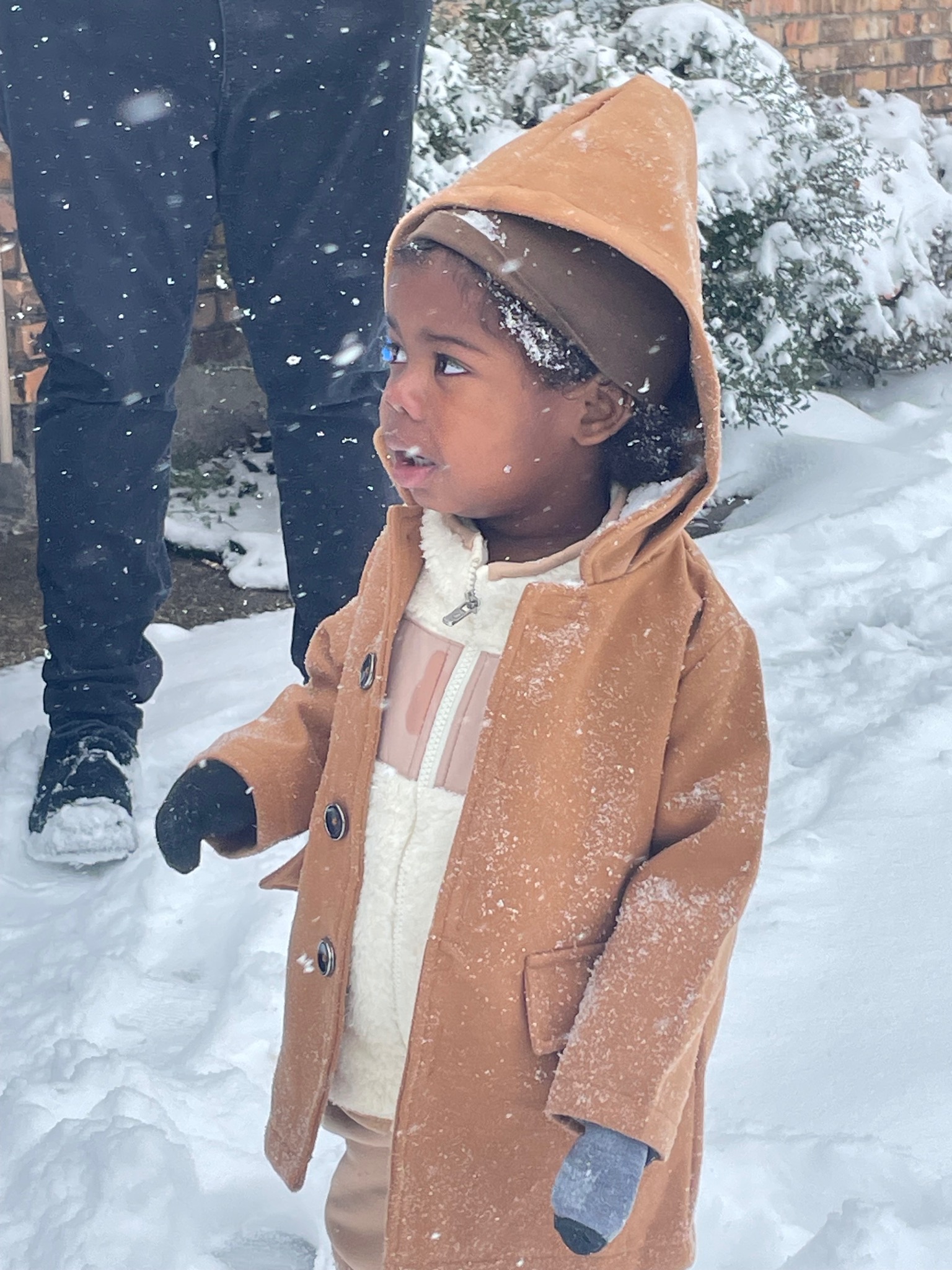 Luca | Toddler of the Year