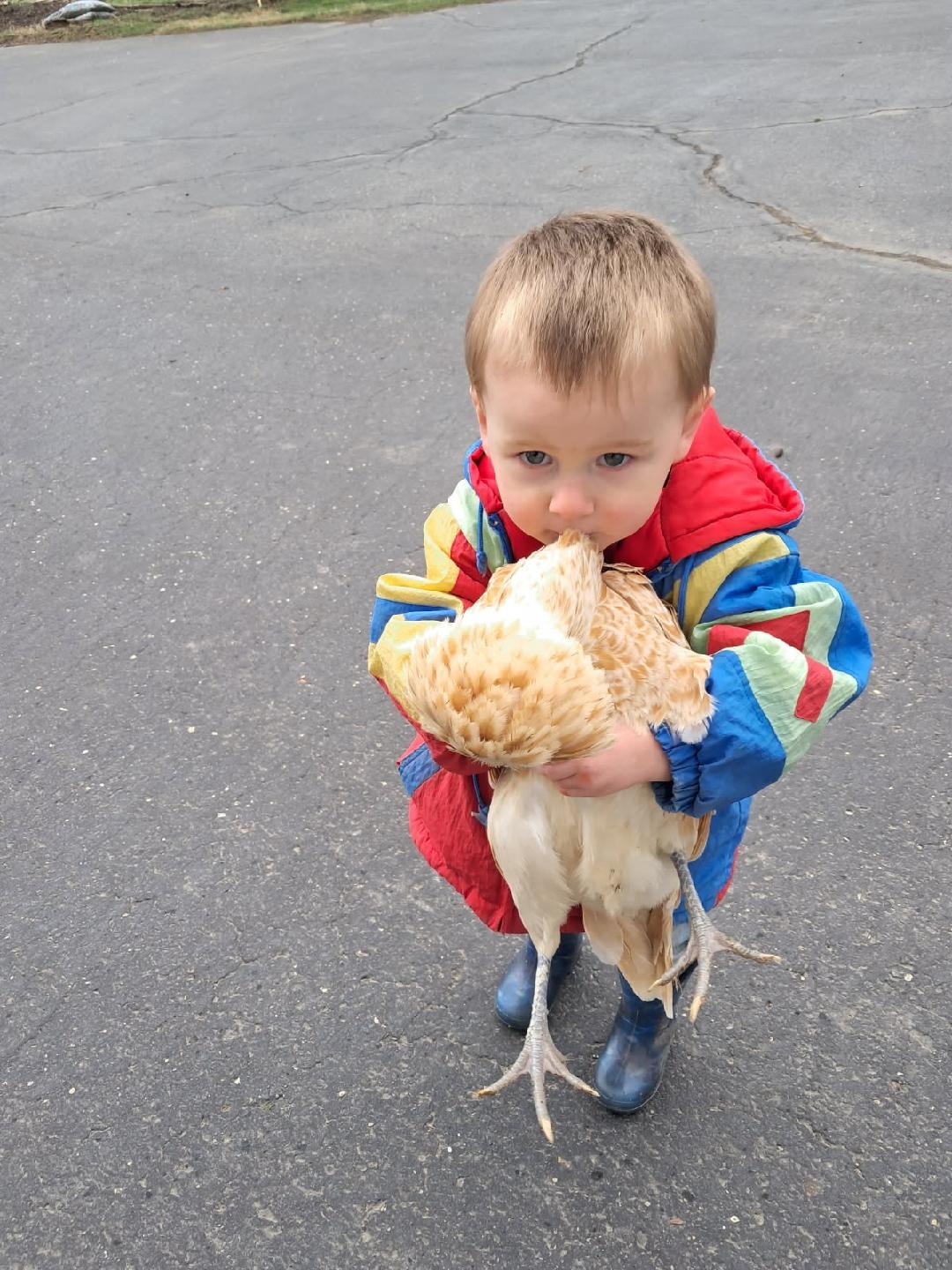 Elijah Brady | Toddler of the Year